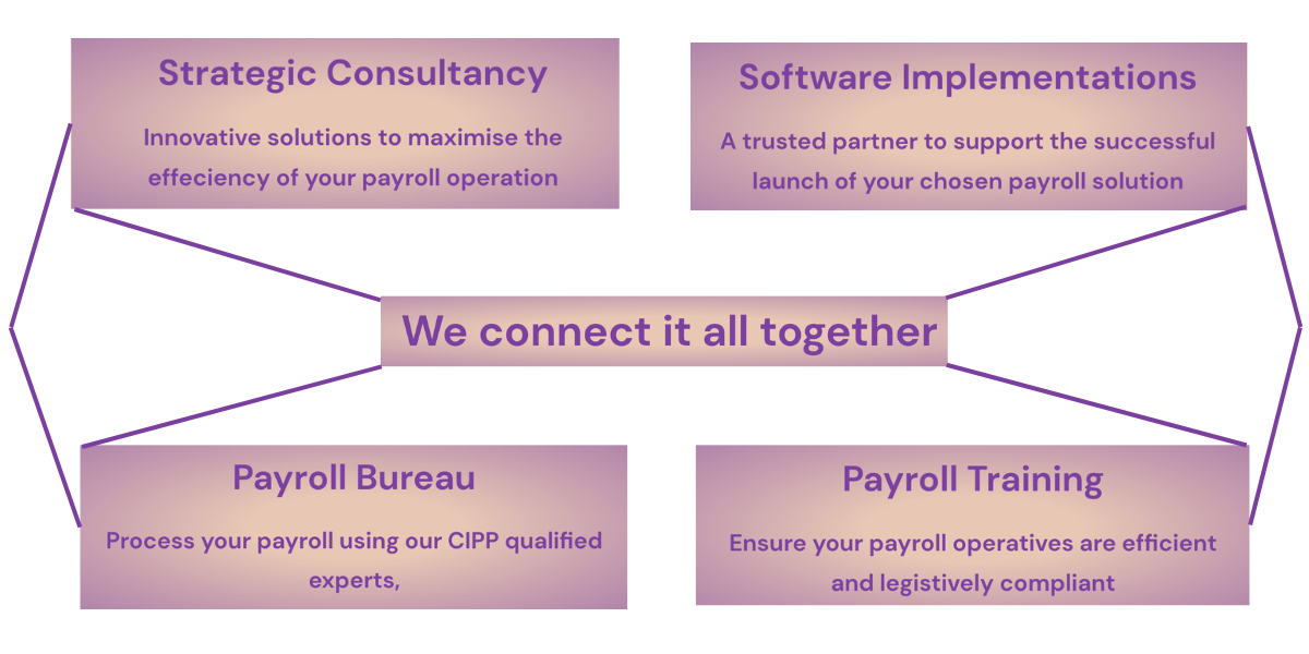 Bee Payroll – Innovative Payroll Solutions